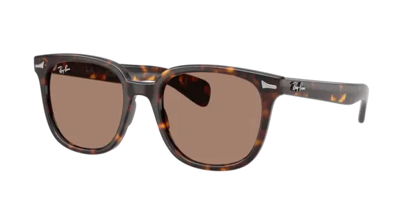 Ray-ban Sunglass Brunel Ii - Light Violet