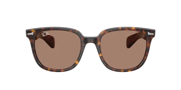 Ray-ban Sunglass Brunel Ii - Light Violet