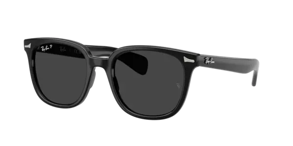Ray-ban Sunglass Brunel Ii - Polarized Black