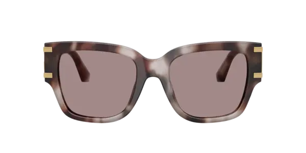 Dolce & Gabbana Sunglass Dg4563 - Violet