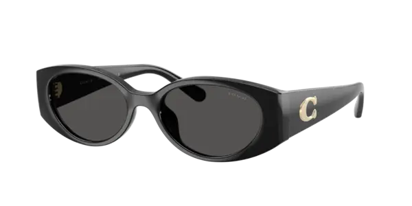 COACH Sunglass Cfu06 - Grey Solid
