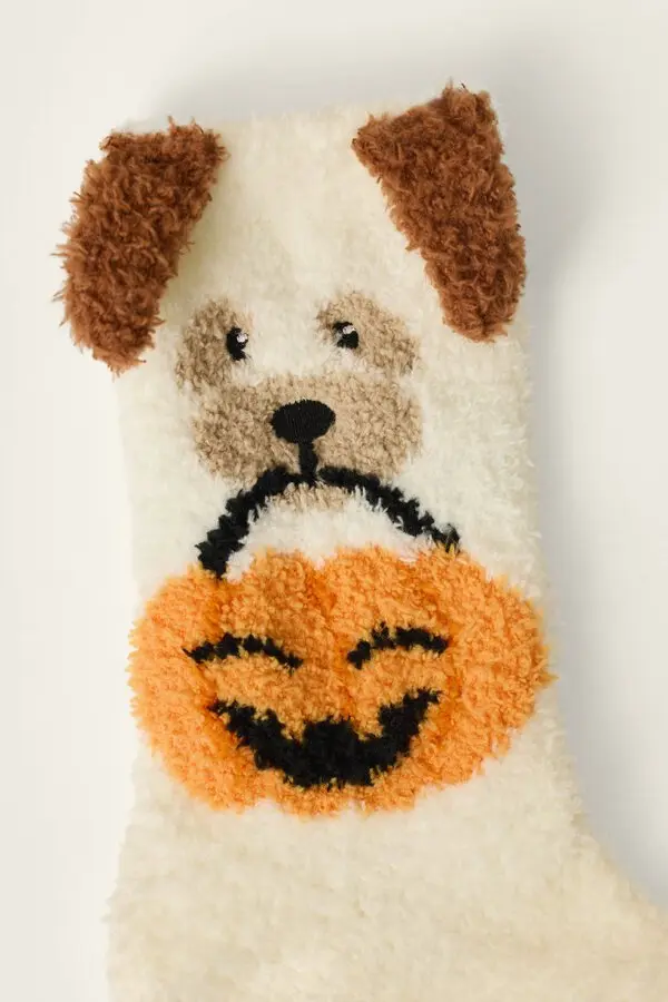 PJ Salvage Boyfriend Boxer Trick-or-treating Dog Socks
