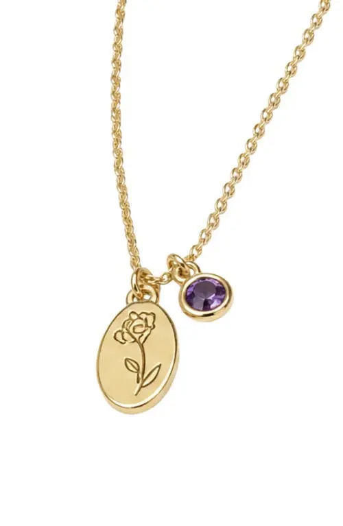 Argento Vivo Birthstone Charm Necklace - Gold/feb