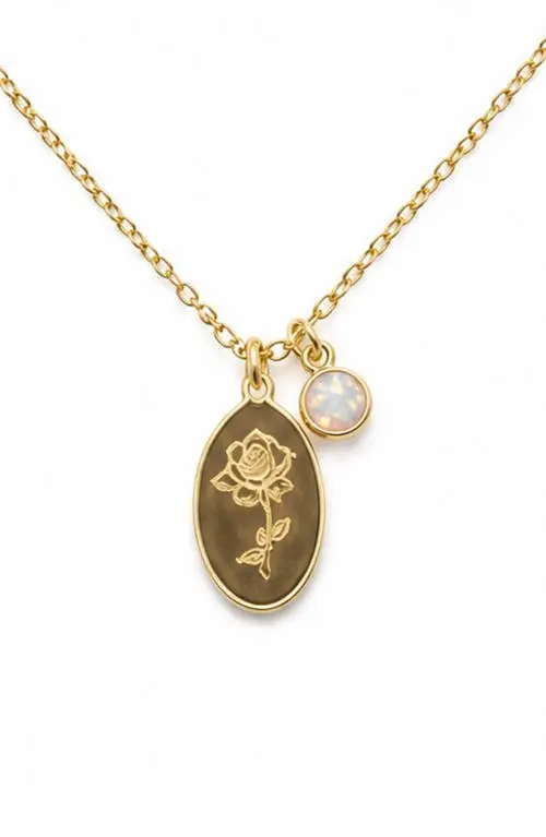 Argento Vivo Birthstone Charm Necklace - Gold/oct