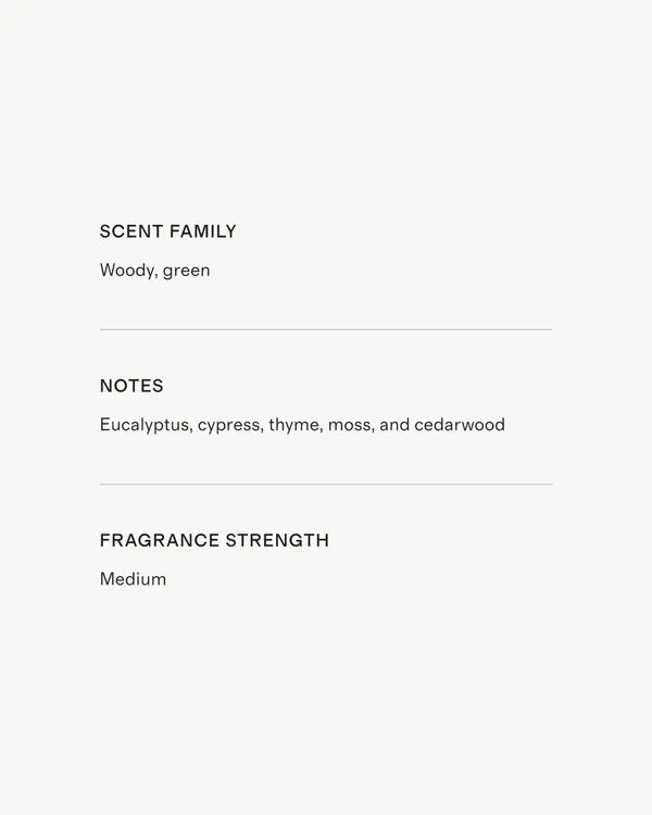 Quince Fir & Vetiver Candle, Plant-based Wax