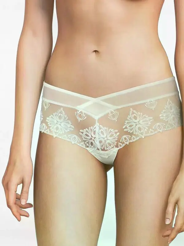 Chantelle Champs Elysees Embroidered Mesh Briefs