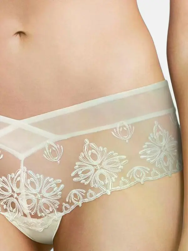 Chantelle Champs Elysees Embroidered Mesh Briefs