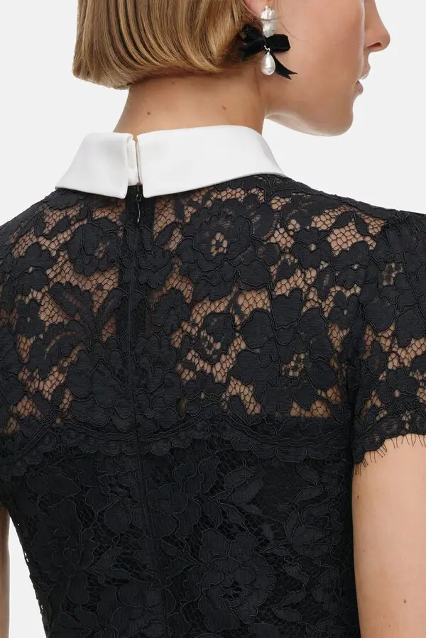 SELF-PORTRAIT Black Lace Contrast Collar Midi Dress - Multicolor