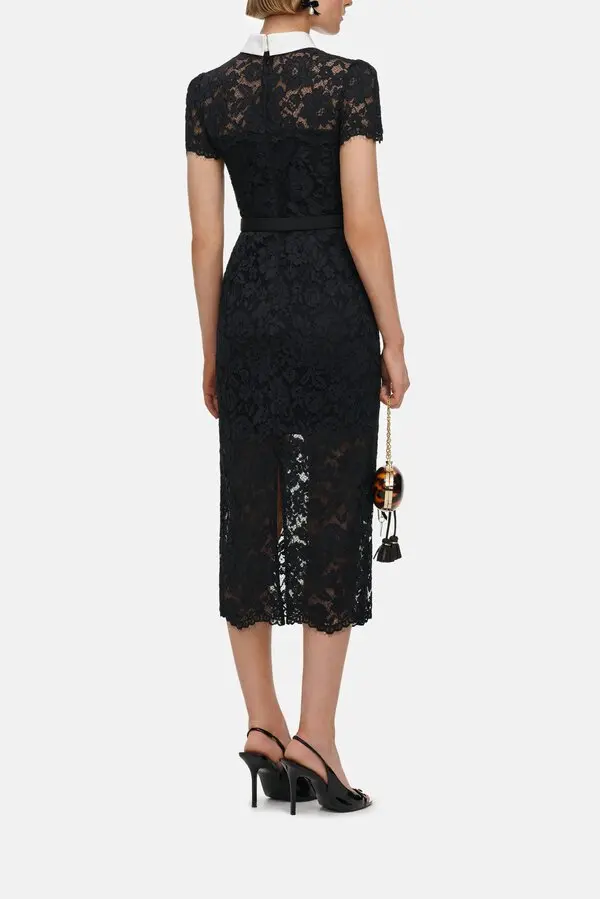 SELF-PORTRAIT Black Lace Contrast Collar Midi Dress - Multicolor