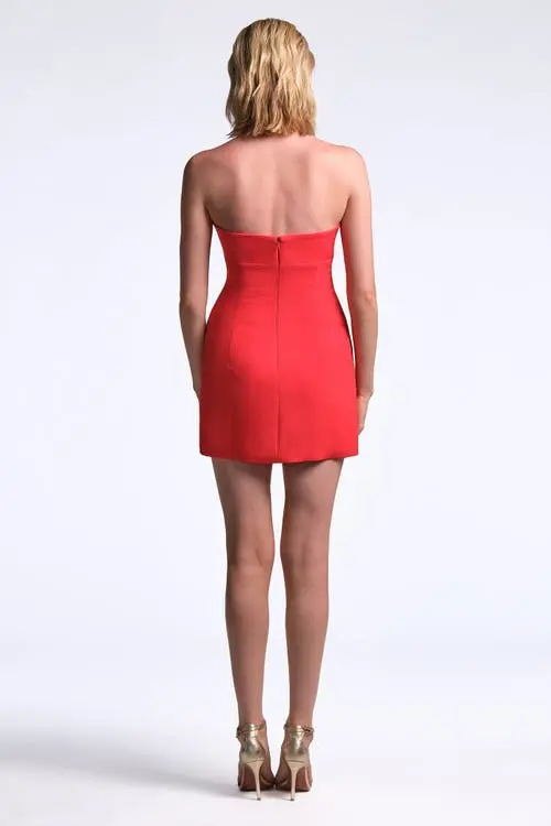 Bcbgmaxazria Ramone Dress