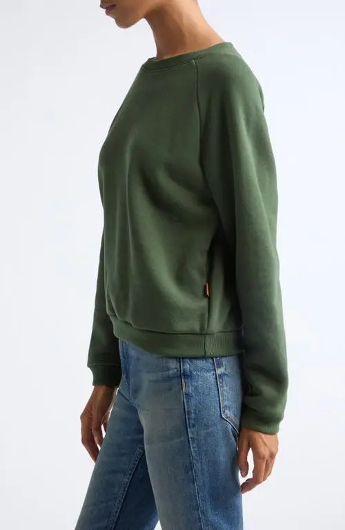 JAMIE HALLER The Daily Sweatshirt