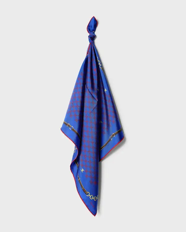 Celine Patterned Silk Scarf