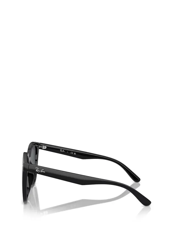 Ray-ban Full Frame Sunglasses