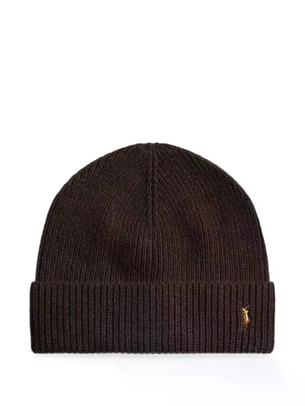 Polo Ralph Lauren Signature Pony Wool-blend Beanie