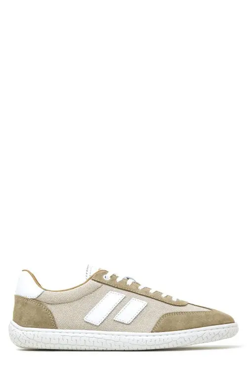 PILOTI Evo Sneaker - Sand