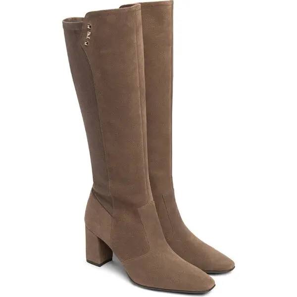 NEROGIARDINI Pointed Toe Stretch Knee High Boot - Bark