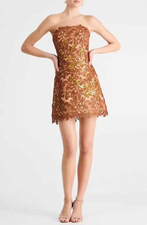 HELSI Cleo Embroidered Strapless Minidress