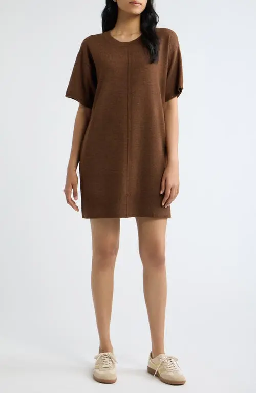 CITY BLUES Crewneck Sweater Dress - Brown