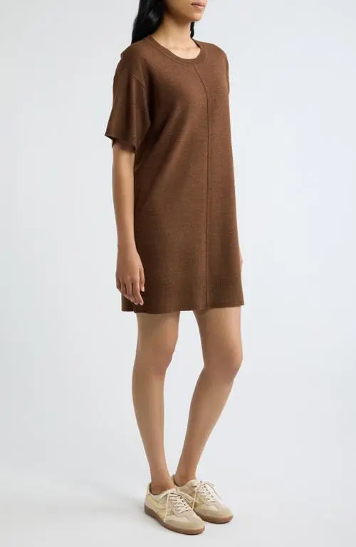CITY BLUES Crewneck Sweater Dress - Brown