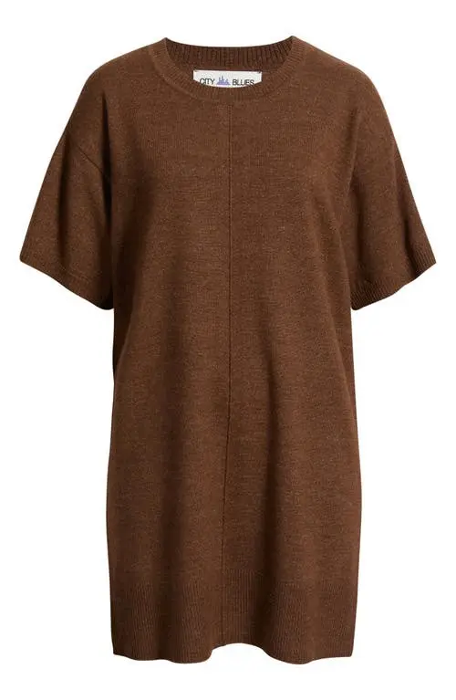 CITY BLUES Crewneck Sweater Dress - Brown