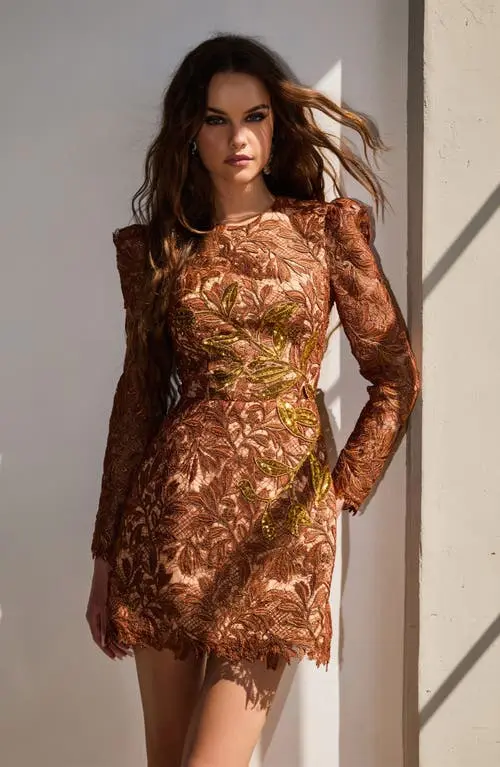 HELSI Savannah Embroidered Long Sleeve Minidress