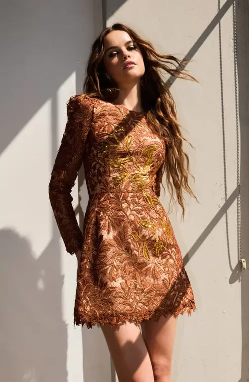 HELSI Savannah Embroidered Long Sleeve Minidress