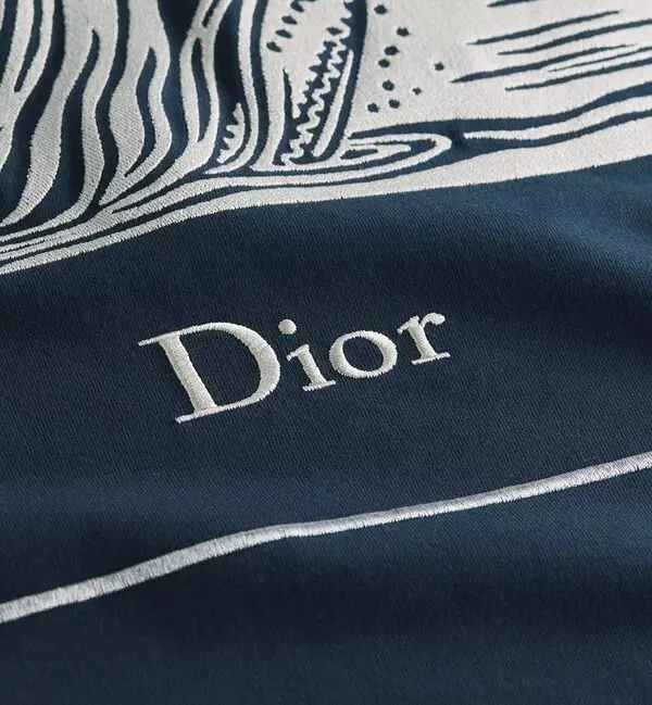 Dior T-shirt With Book Cover Embroidery And Print, Relaxed Fit