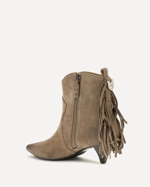 Pinko Suede Leather Didi Ankle Boots With Fringes