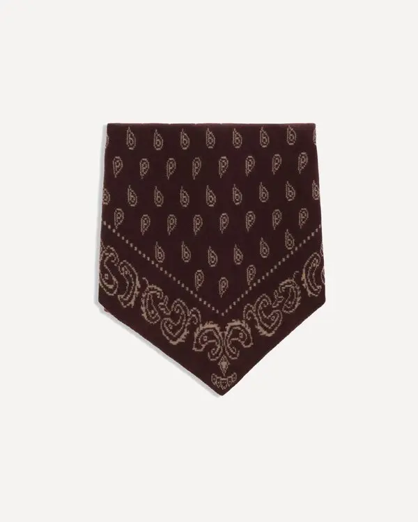 Guest In Residence The Wild Rag Scarf