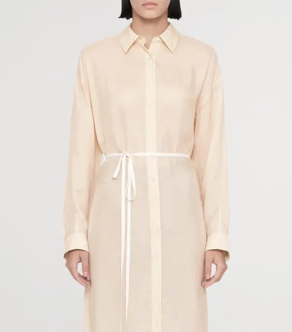 ALLSAINTS Oversized Yurra Shirt Dress