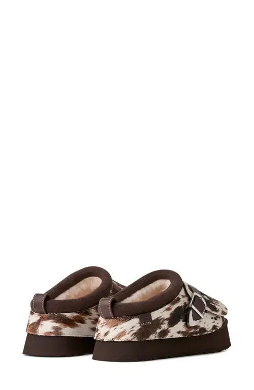 UGG Tazz Western Slipper
