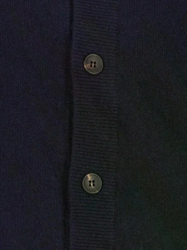 Al Duca D'aosta Button-up High-neck Cardigan