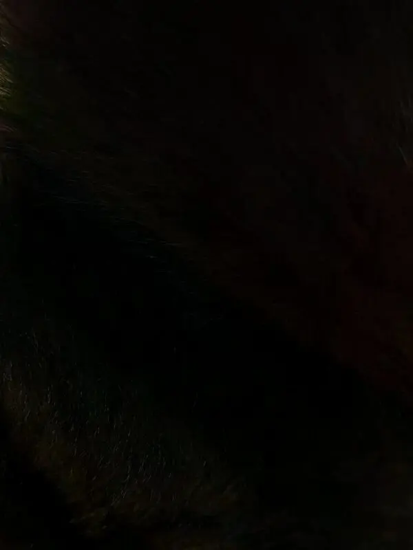 Valentino Garavani Lamb-fur Snood