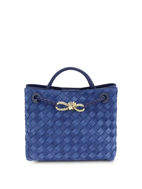 Bottega Veneta Andiamo Small Handbag