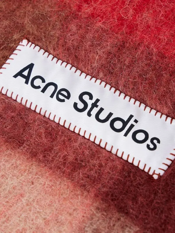 Acne Studios Fringed Checked Brushed Alpaca, Wool And Mohair-blend Scarf