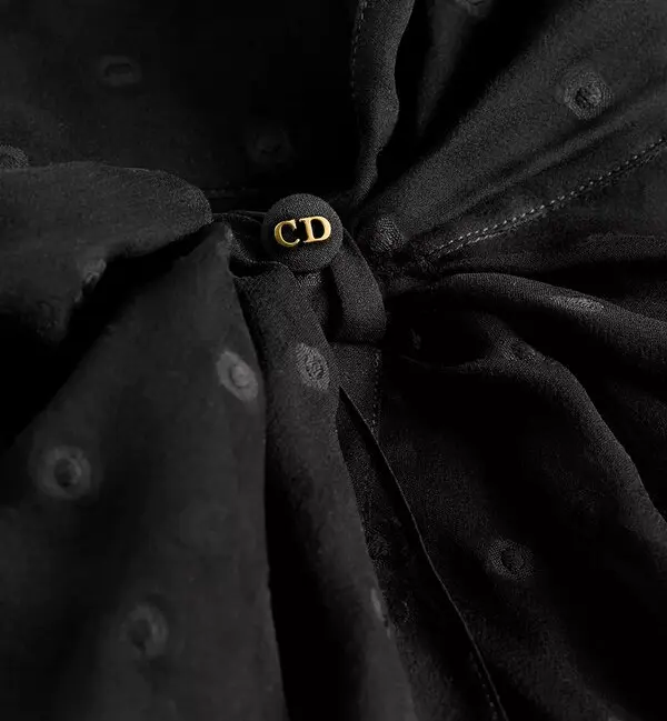 Dior Sheer Blouse With Tied Collar