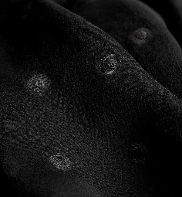 Dior Sheer Blouse With Tied Collar