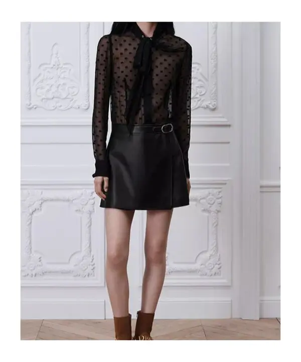 Dior Sheer Blouse With Tied Collar