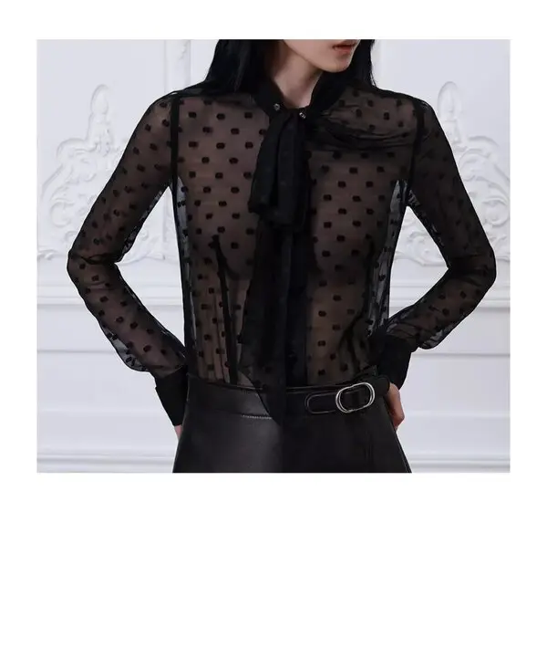 Dior Sheer Blouse With Tied Collar
