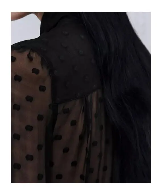 Dior Sheer Blouse With Tied Collar