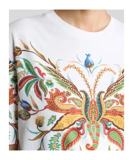 Etro Cotton Paisley-print T-shirt