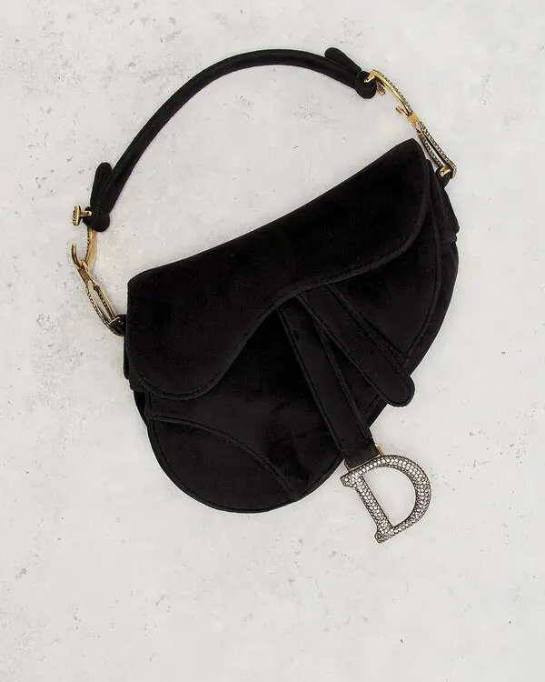 FWRD RENEW Dior Velvet Mini Saddle Bag
