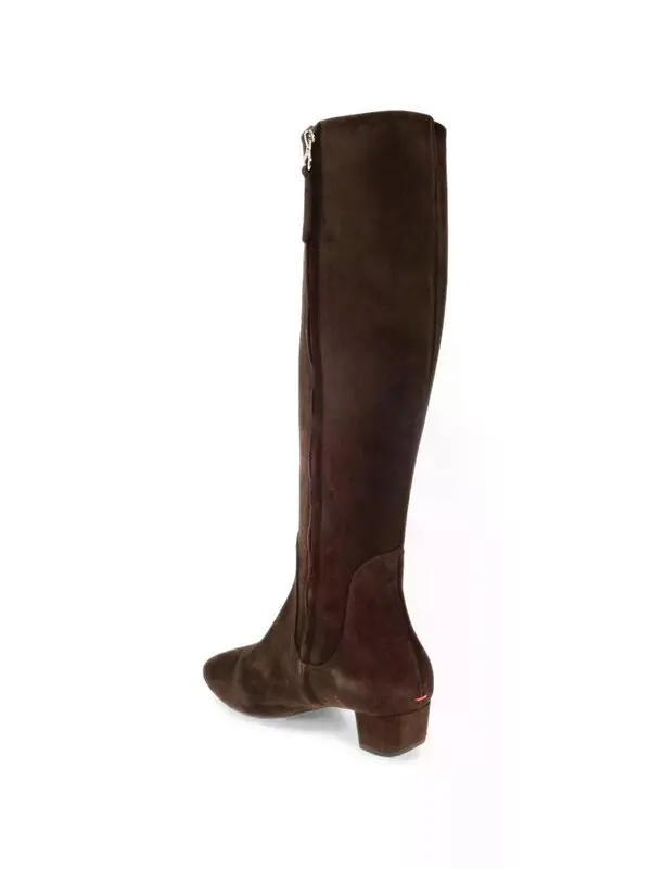 AeydĒ Yana Calf Suede Knee-high Boots