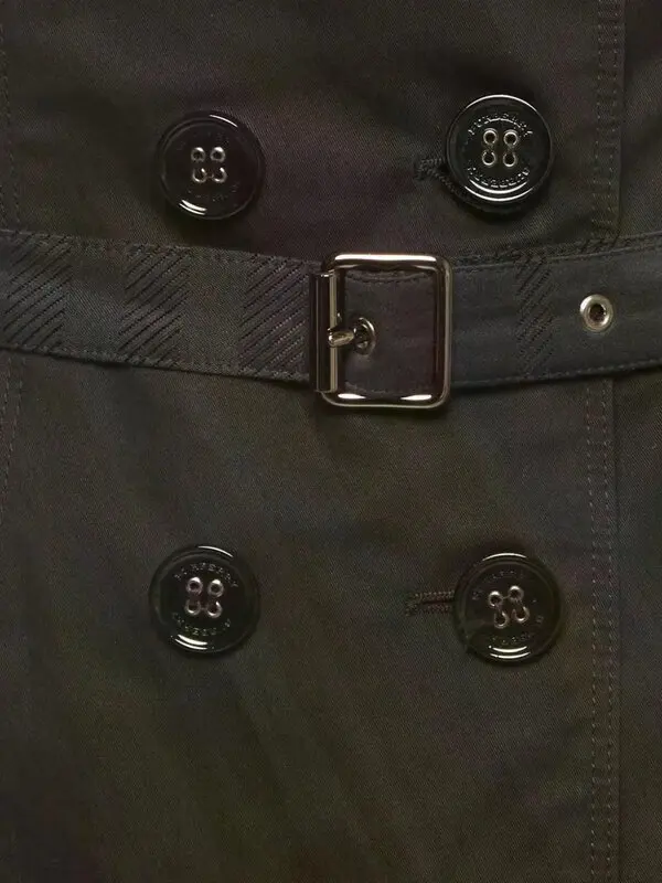 Burberry Double-breasted Mini Dress