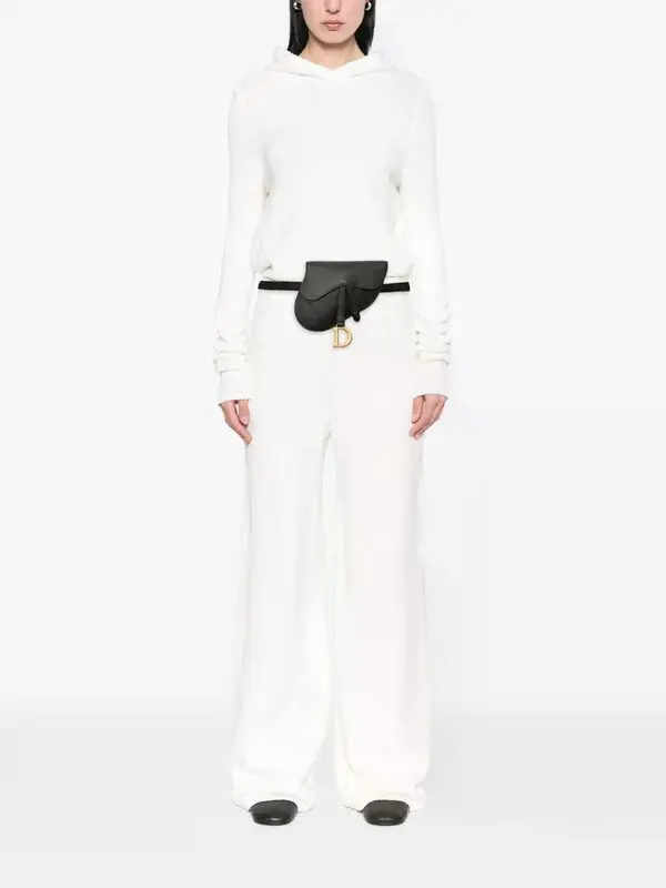 Dior 2019 Leather Saddle Belt Bag