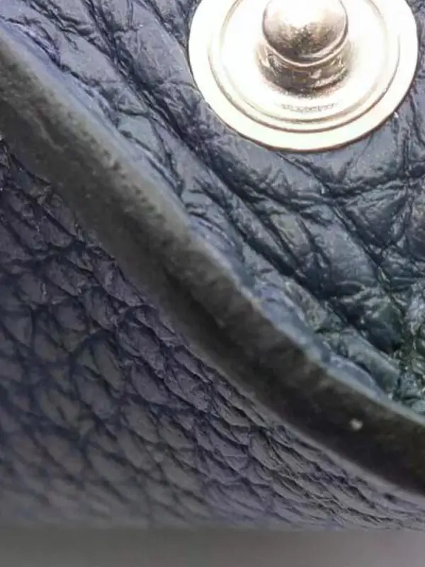 Hermès 2024 Togo Videpoches Crossbody Bag