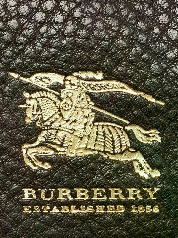 Burberry Check-pattern Buckle Wallet