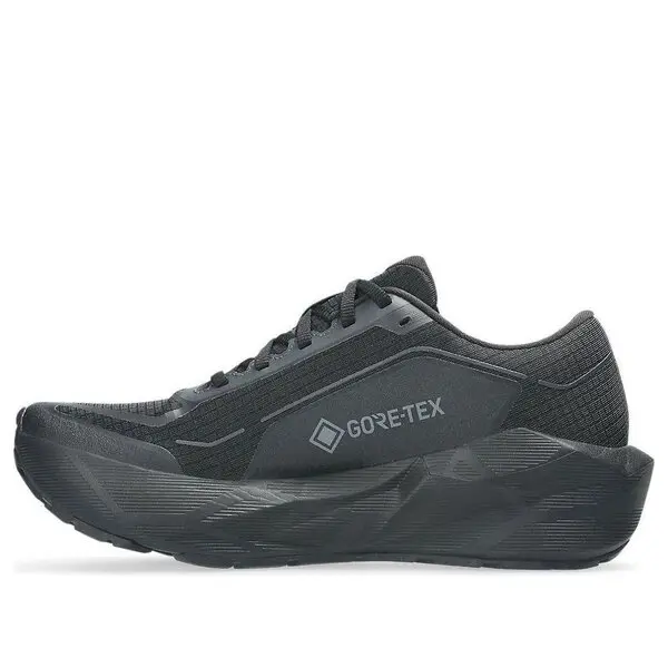 Asics Novablast 6 Gore Tex 'black Graphite Grey