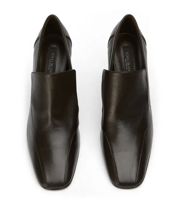 TONY BIANCO Finch