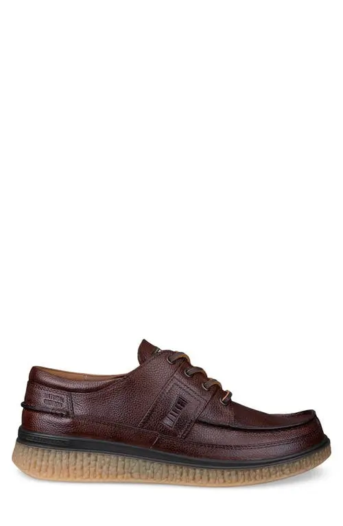 Ecco Walker 3.0 Plain Toe Derby - Camel